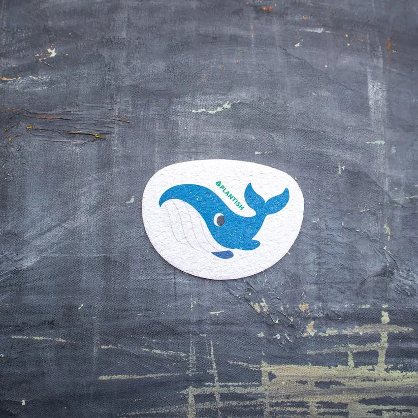 Whale - Pop up Sponge – SWOP - shop without plastic
